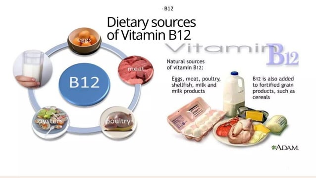Vitamin B12 and Folic Acid mbbs 2nd year.pptx | Pregnancy ...
