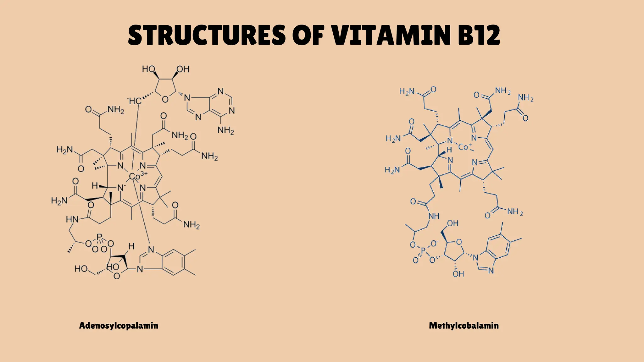 Vitamin B12 Biochemistry.pptx