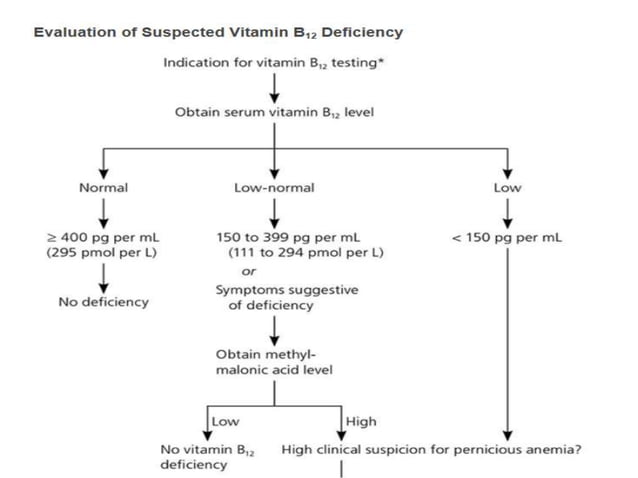 Vitamin B12 Deficiency | PPTX | Digestive Disorders | Diseases and ...