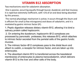 vitamin b12 deficiency.pptx