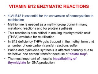vitamin b12 deficiency in clinical practicepptx | PPTX