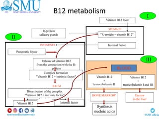 Vitamin B12 deficiency anemia (B12-DA),PPT. eng.pptx
