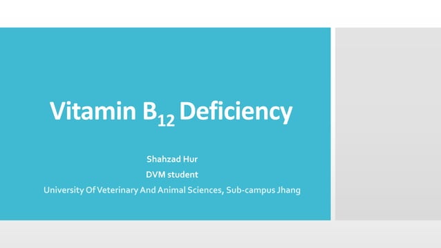 Vitamin b12 deficiency in animals | PPTX