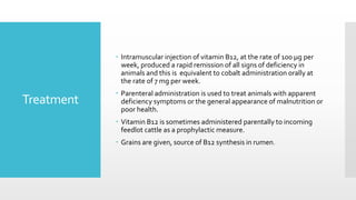 Vitamin b12 deficiency in animals | PPTX