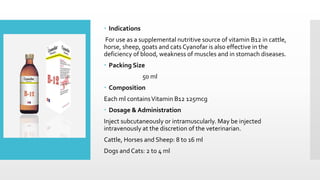 Vitamin b12 deficiency in animals | PPTX