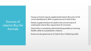 Vitamin b12 deficiency in animals | PPTX