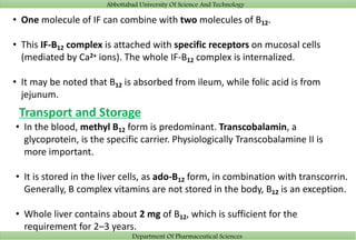 Vitamin B12 (Cobalamin) lecture slides notes | PDF
