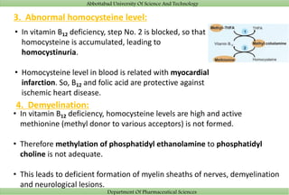 Vitamin B12 (Cobalamin) lecture slides notes | PDF