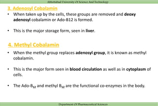 Vitamin B12 (Cobalamin) lecture slides notes | PDF