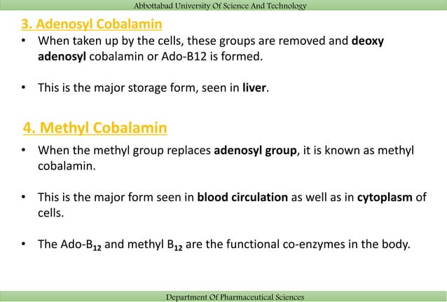 Vitamin B12 (Cobalamin) lecture slides notes | PDF | Blood Disorders ...