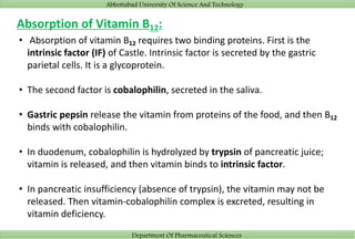 Vitamin B12 (Cobalamin) lecture slides notes | PDF