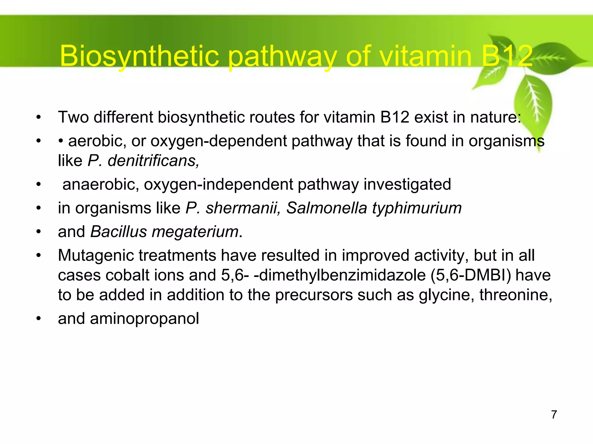 Vitamin b12 production.ppt