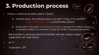 Vitamin B12 production.pptx