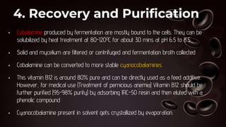 Vitamin B12 production.pptx