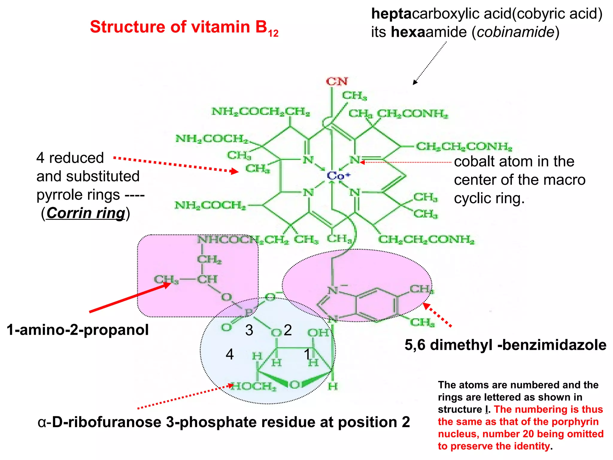 VITAMIN B12[CYNACOBALAMIN][COBALAMIN],SOURCES OFVITAMIN B12,VITAMIN B12 ...