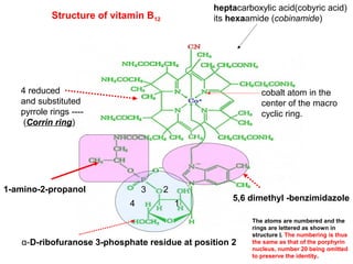 VITAMIN B12[CYNACOBALAMIN][COBALAMIN],SOURCES OFVITAMIN B12,VITAMIN B12 ...