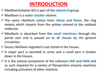 Symptoms Vitamin B2 Deficiency Infographics Vector Image, 52% OFF