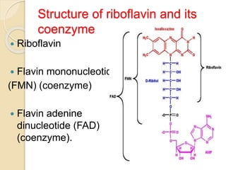 VITAMIN B2-RIBOFLAVIN.pptx