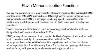 vitamin b2 (1).pptx it is about vitamin b2 which is riboflavin | PPTX