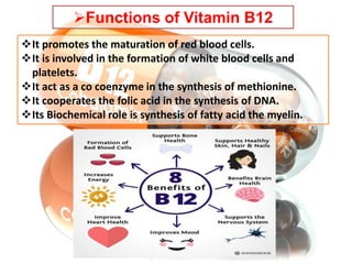 Vitamin B All.pptx