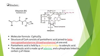 Vitamin b5, pantothenic acid | PPTX