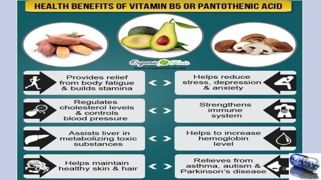 Vitamin B5_Pantothenic Acid Presentation by Ms. Nida Khan.pptx