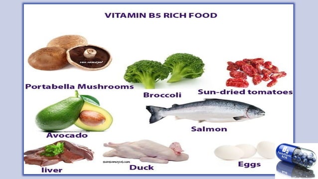 Vitamin B5_Pantothenic Acid Presentation by Ms. Nida Khan.pptx