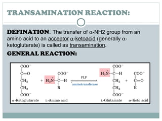 Pyridoxal (Vitamin b6) | PPT