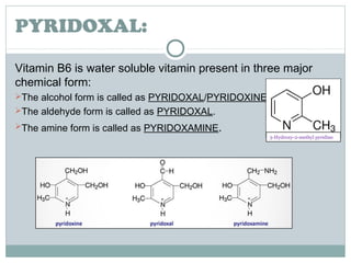 Pyridoxal (Vitamin b6) | PPT