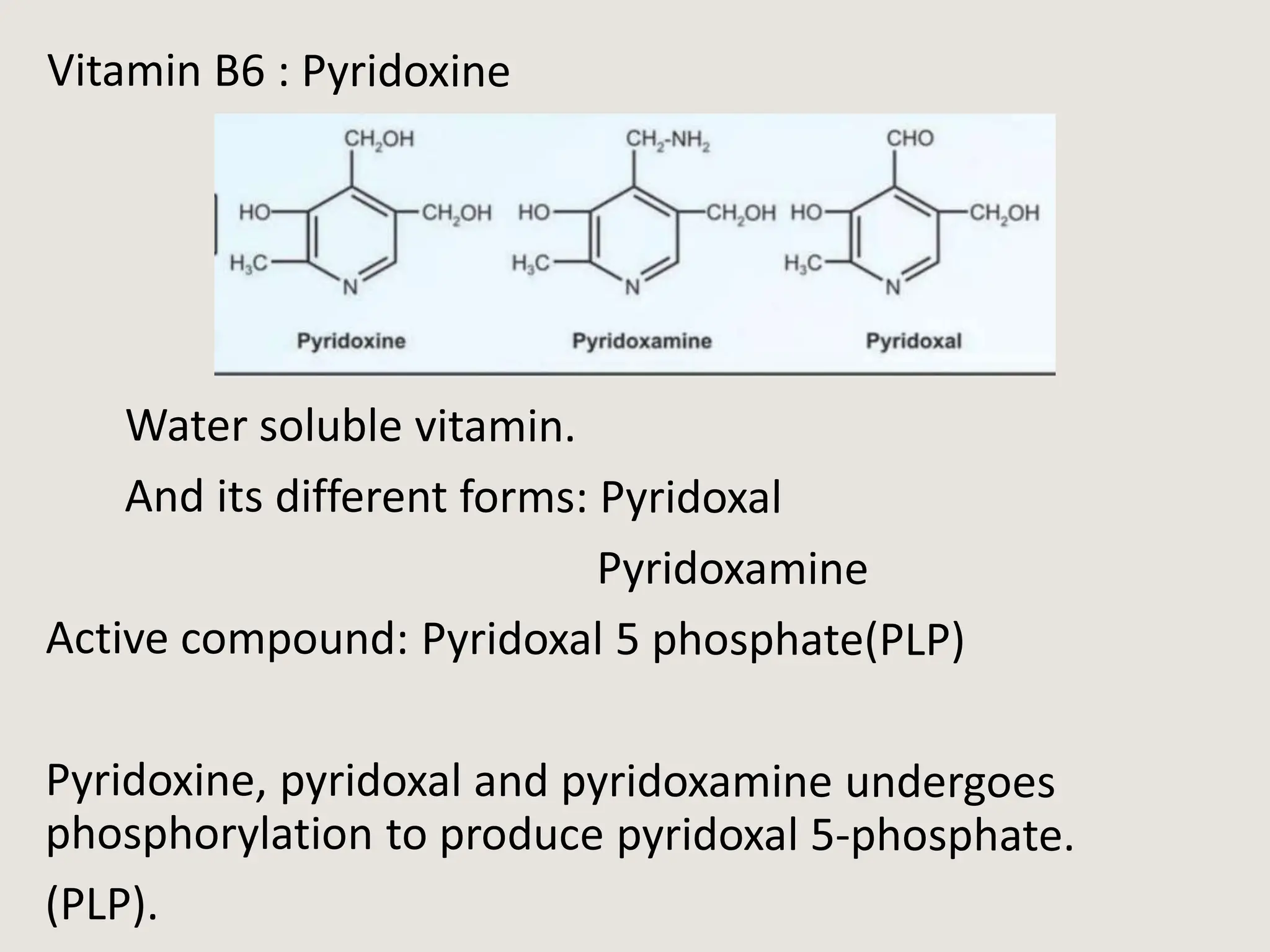 vitamin b6 biochemistry metabolism presentation | PPT