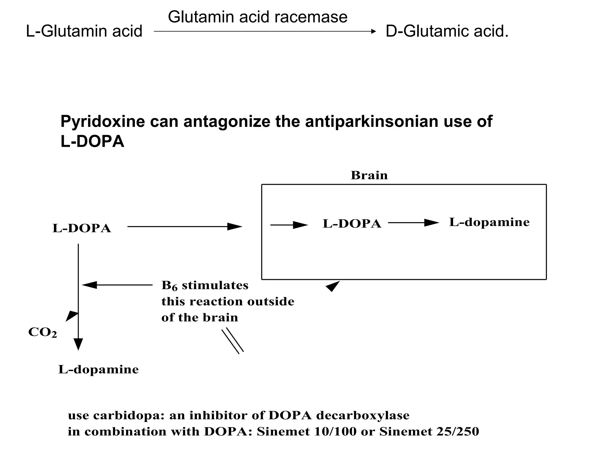 VITAMIN B6 [MEDICINAL CHEMISTRY] BY P.RAVISANKAR. SOURCES,STRUCTURES OF ...