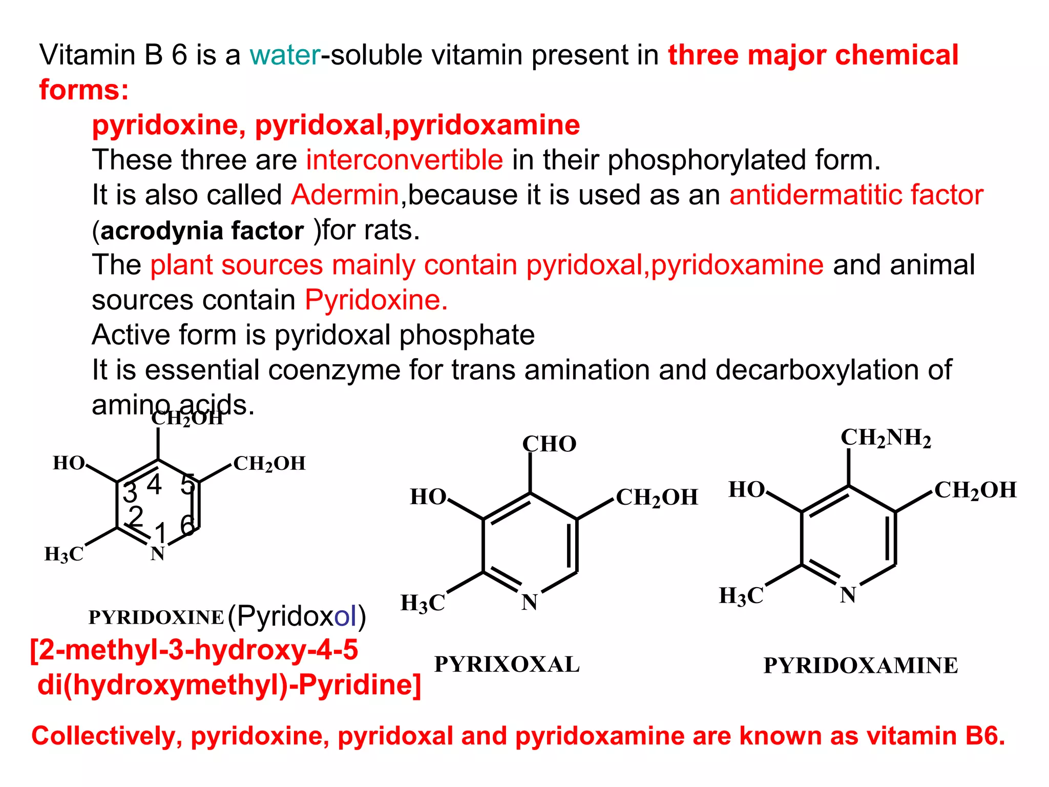 VITAMIN B6 [MEDICINAL CHEMISTRY] BY P.RAVISANKAR. SOURCES,STRUCTURES OF ...