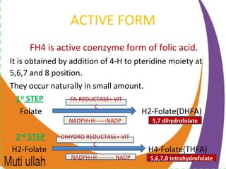 Vitamin b7(biotin) and vitamin b 9(FOLATE) final | PPT