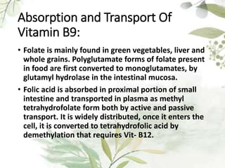 Vitamin B9-2.pptx