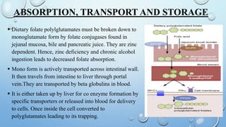 vitamin b9 and b12.pptx