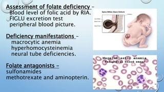 vitamin b9 and b12.pptx