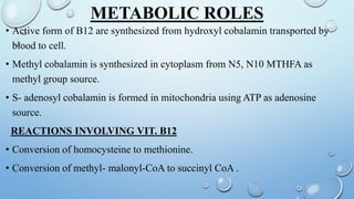 vitamin b9 and b12.pptx
