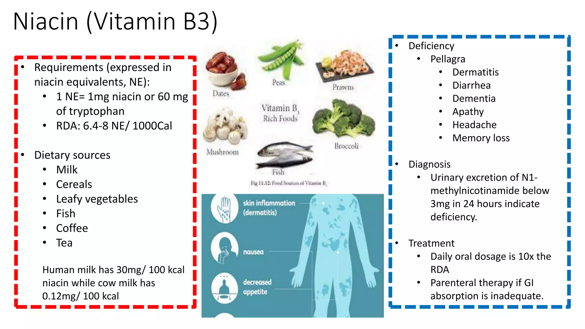 Vitamin B and C.pptx