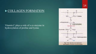 Vitamin C and Periodontal Health | PPTX