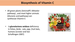 Vitamin C.pptx You will learn a more knowledge | PPTX