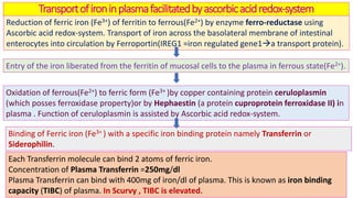 Vitamin C (Ascorbic acid) | PDF