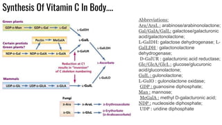 Presentation on Vitamin C | PPT