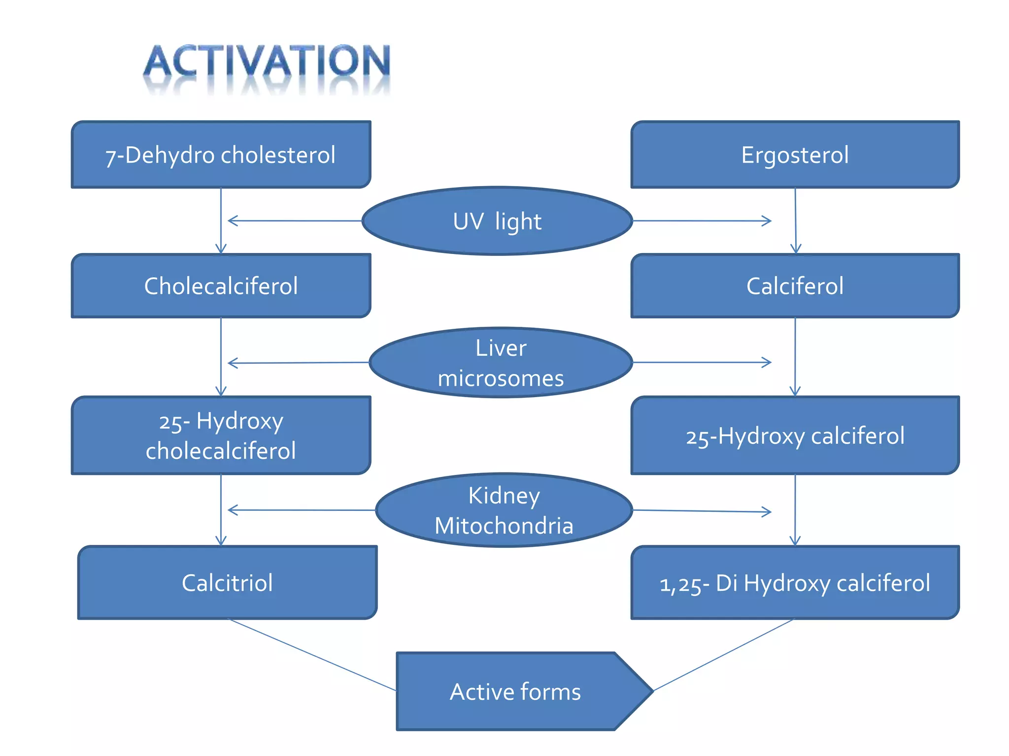 Vitamin d | PPTX