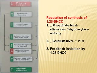 Vitamin D | PPTX