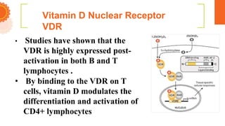 Vitamin D nutrition in human body in.pptx
