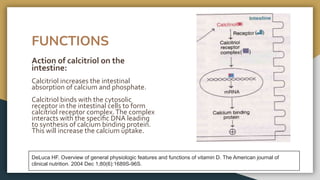 Vitamin D (Calcitriol) in Periodontal Health | PDF