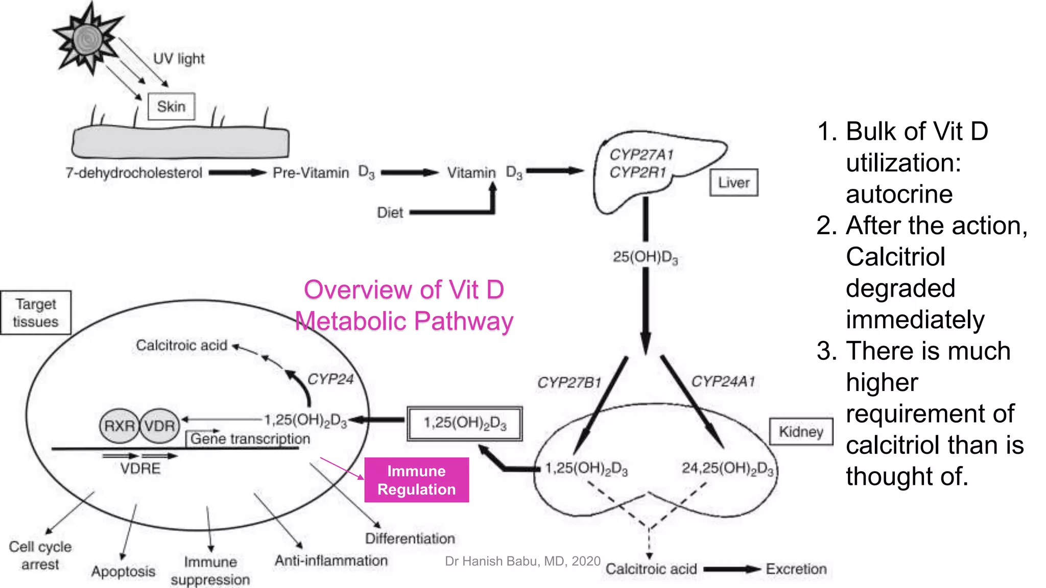 Vitamin D Part 3-Vitamin D in Diseases and Dose Recommendations | PPTX