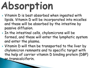 Vitamin D | PPTX