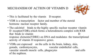 vitamin (D) 2.pptxvyukhfjglklgkyftdulytdull | PPT