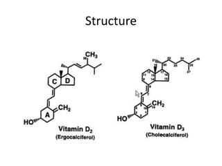 Vitamin D2 And D3 Structure